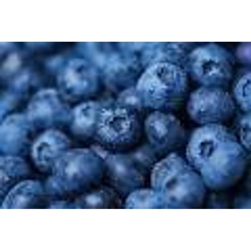 BLUEBERRIES FRESH PRODUCE FRUIT VEGETABLES PINT 10 OZ - Online ...