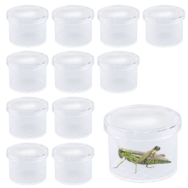 ZDNT 12Pcs Magnifying Insect Container Bug Viewer Insect Cage Bug ...