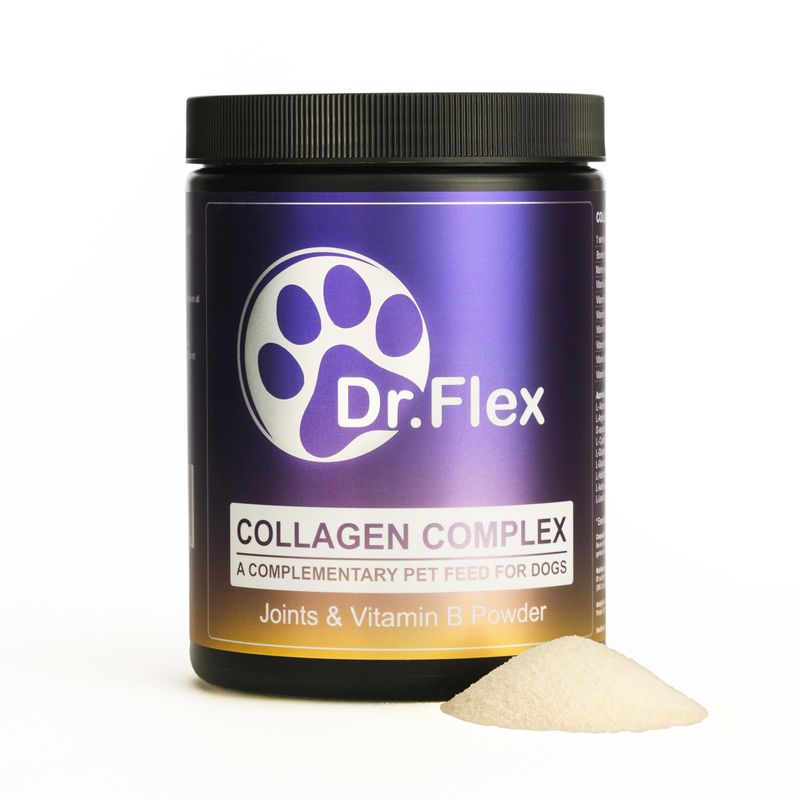 Dr. Flex Collagen Powder for Dogs – 300g with 4500mg Bovine & 500mg ...