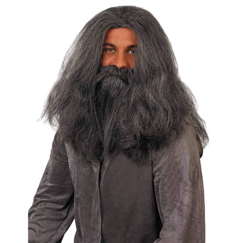 Fun Shack Wizard Beard Wig, Grey Wig and Beard, Grey Beard Fancy Dress ...