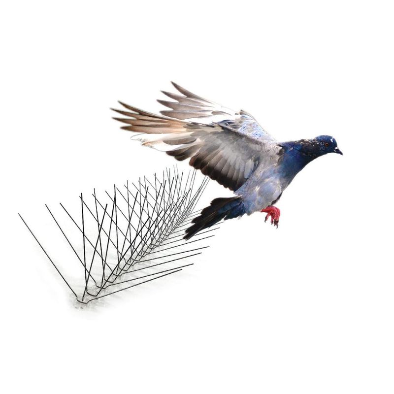 Bird-X Deterrent Steel Spikes, Bird Control, 8-inch W, 10 ft. Long (EWS ...