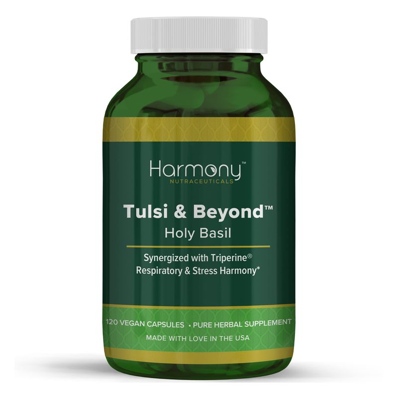 Tulsi - Holy Basil Supplement - Highest Potency, Maximum bio ...