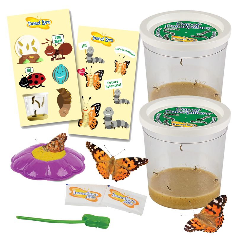 Insect Lore Caterpillar 2 Cup Deluxe | 10 Living Baby Caterpillars with ...