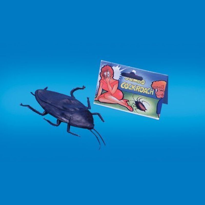 Loftus Jumbo Giant Fake Cockroach Prank-gag - Online Marketplace ...