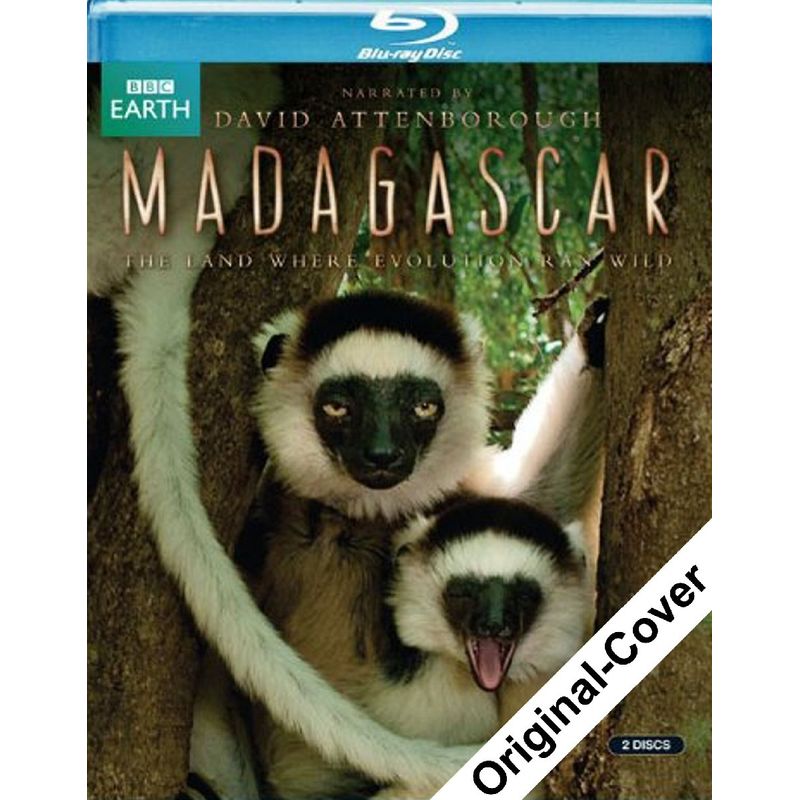 Madagaskar - Ein geheimnisvolles Wunder der Natur [Blu-ray] - Online ...