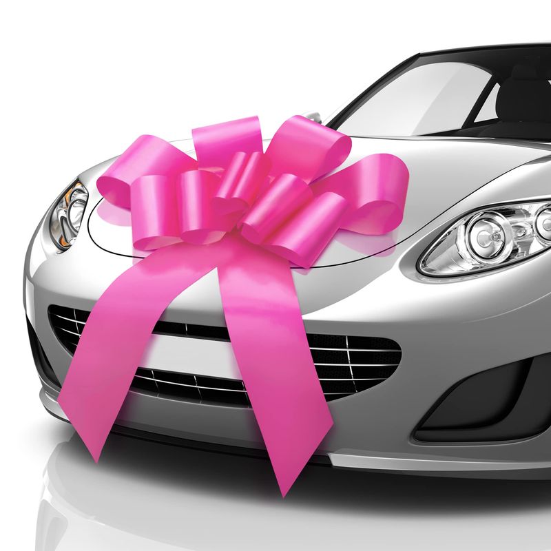 MIFFLIN Big Car Bow (Satin Pink, 30 inch), Butterfly Shape Gift Bow ...