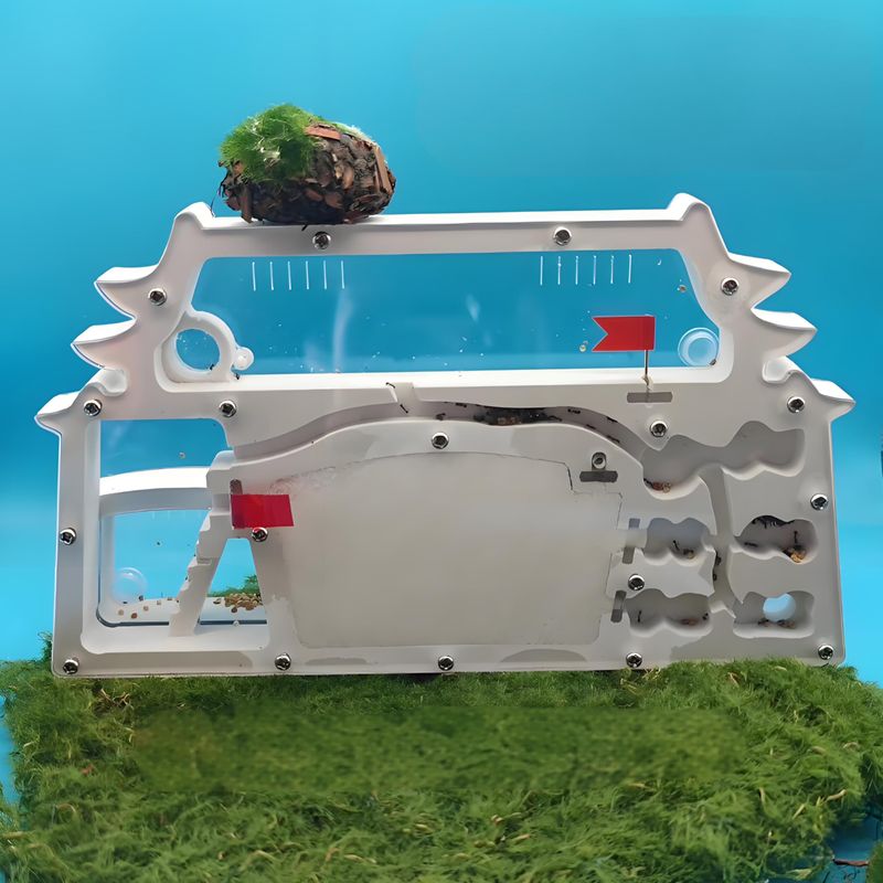 Ant Farm Castle, Ant Colony Observation Tool Kit, Ant Habitat Science ...