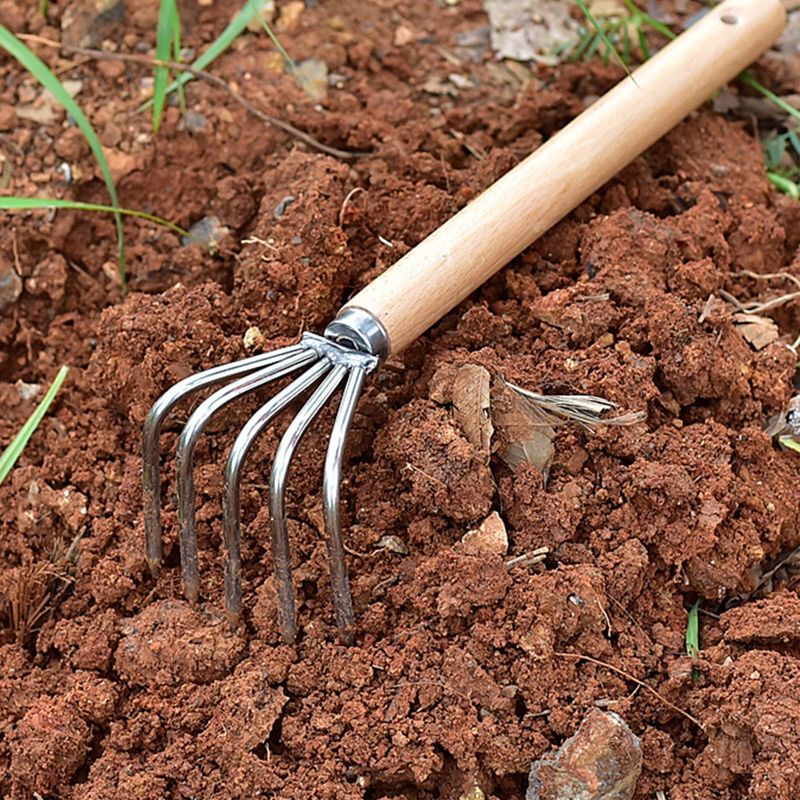 Clam Hunting Set, Stainless Steel Rake, Shell Digging, Shellfish Pickup ...