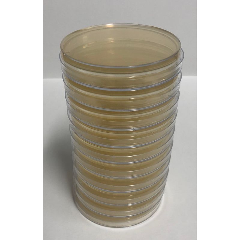 MEYA Agar Plates 10pcs Plastic Petri Dishes with Lids Scientific Agar ...