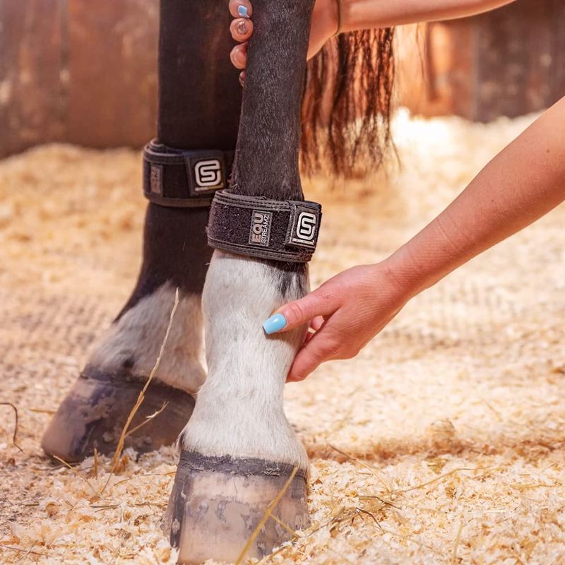 EQU StreamZ Magnetic Horse Bands/Boots (pair)| Non Invasive 'no-heat ...