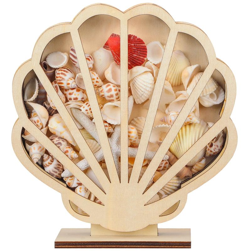 CroBlissful Seashell Shaped Wooden Shadow Box with Acrylic Window ...