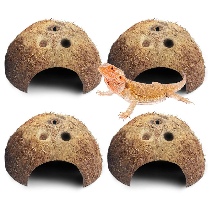 PINVNBY Natural Coconut Reptile Hideouts Lizard, Coco Hut Hermit Crab ...