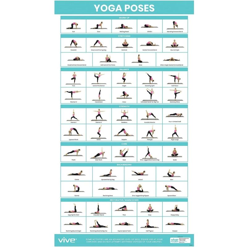 Vive Yoga Poster - Poses for Beginners and Experts - Mat Exercise Home ...
