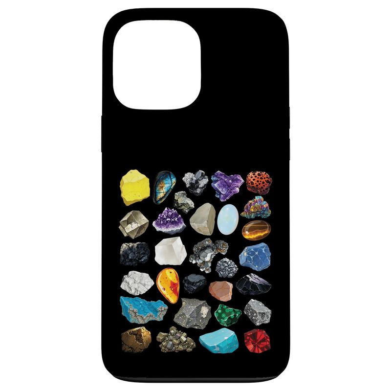 Types of Rocks & Minerals Gemology & Geology Educational Case for ...