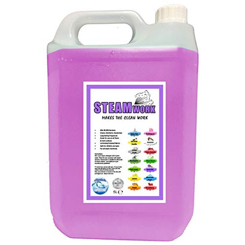 Steamwork Steam Cleaner Detergent 5L (Bubblegum) - Online Marketplace - EveryMarket