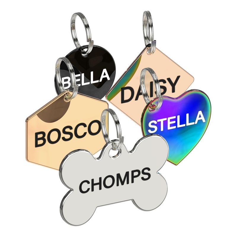 Dr. Fremont's Stainless Steel Custom Pet ID Personalized Engraved ...