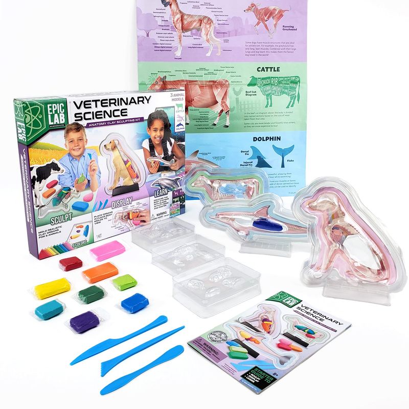 ArtSkills Epic Lab Vet Kit for Kids, Animal Anatomy Science Kit for ...