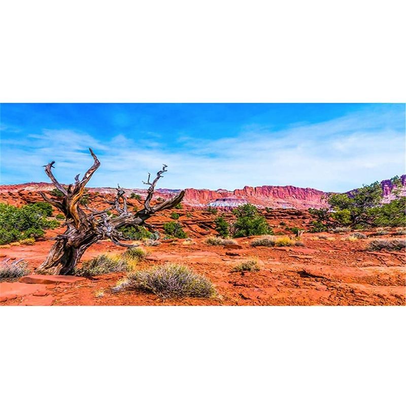 AWERT 48x24 inches Reptile Habitat Background Blue Sky Oasis Orange ...