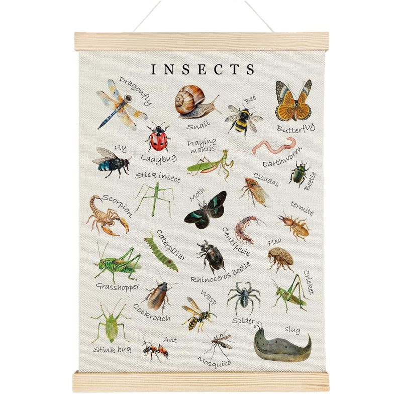 Nrleey Insects Poster Hanger Frame - Educational Wall Art, Kids Room ...