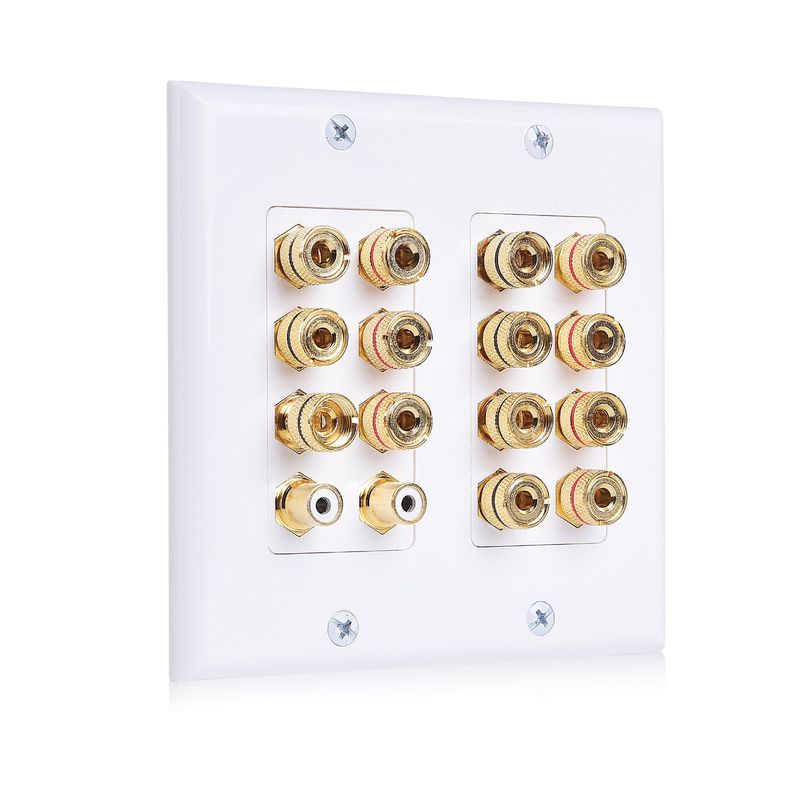 Cable Matters Double Gang 7.2 Speaker Wall Plate (Home Theater Wall ...