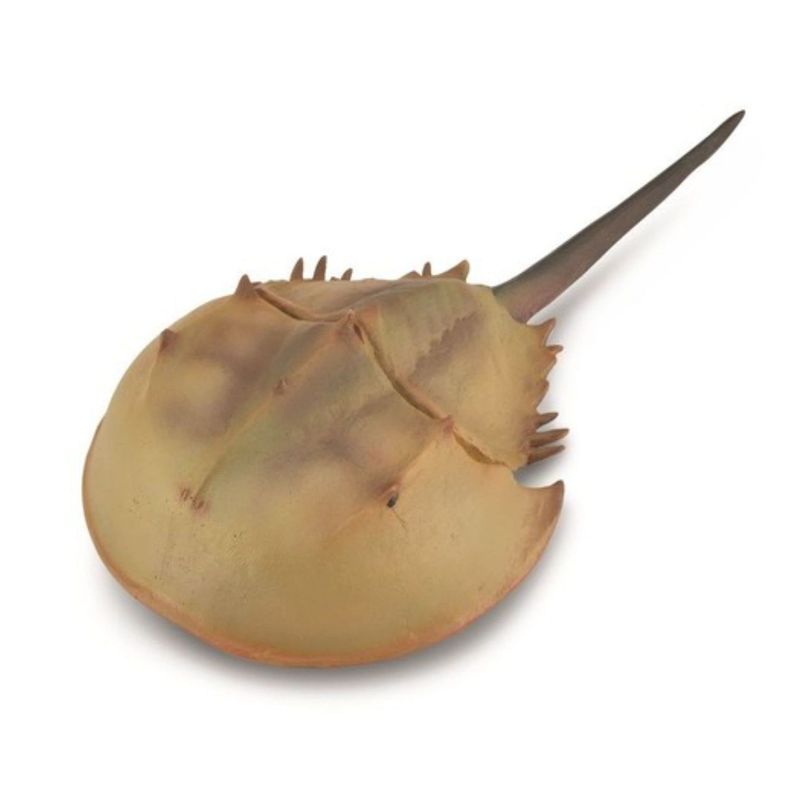 COLLECTA 88905 American Horseshoe Crab Dinosaur Figure - EveryMarket