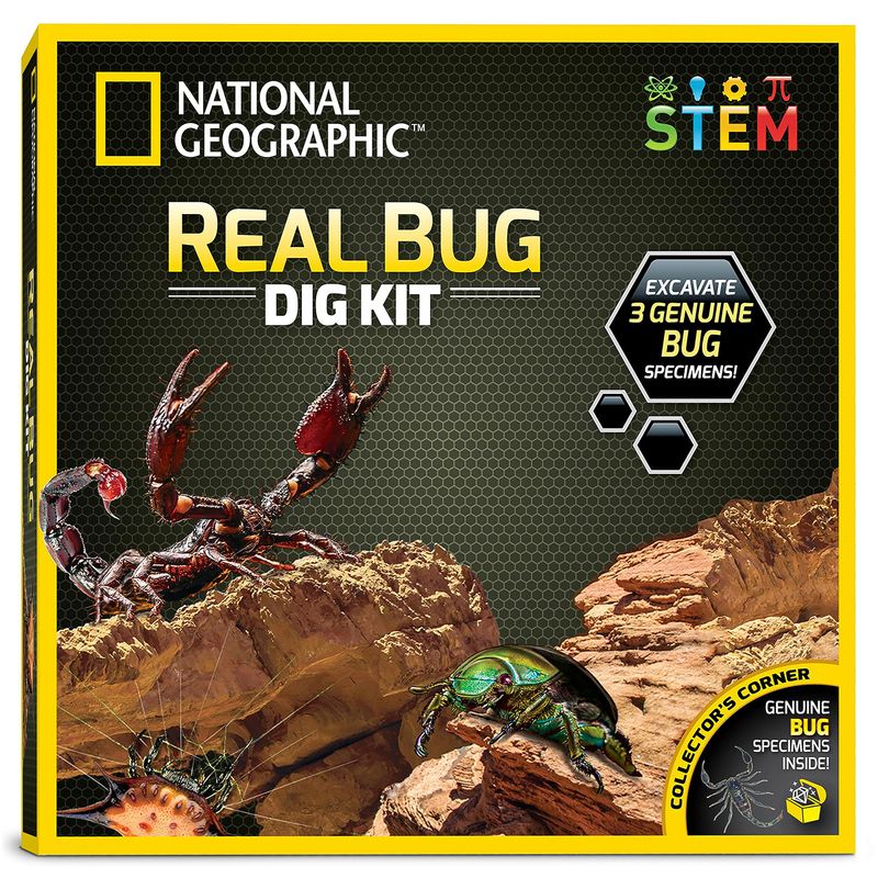NATIONAL GEOGRAPHIC Real Bug Dig Kit - Dig up 3 Real Insects including ...