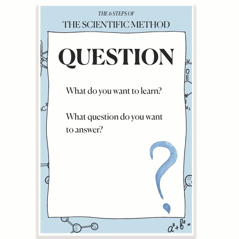 The Scientific Method Classroom Poster - Step 1 Question - Science ...
