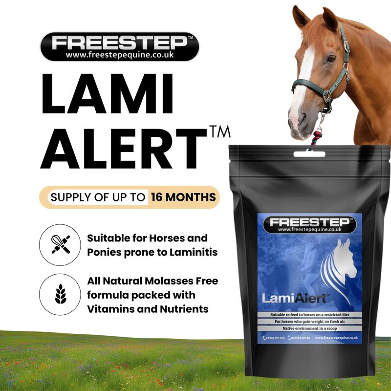 Freestep Lamialert - Laminitis Supplement For Horses and Ponies (125g ...