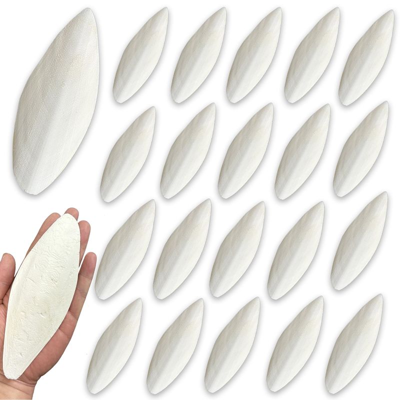 20 Pcs Bird Cuttlebone for Parakeets 4.7"-5.7" Cuttlebone for Birds ...