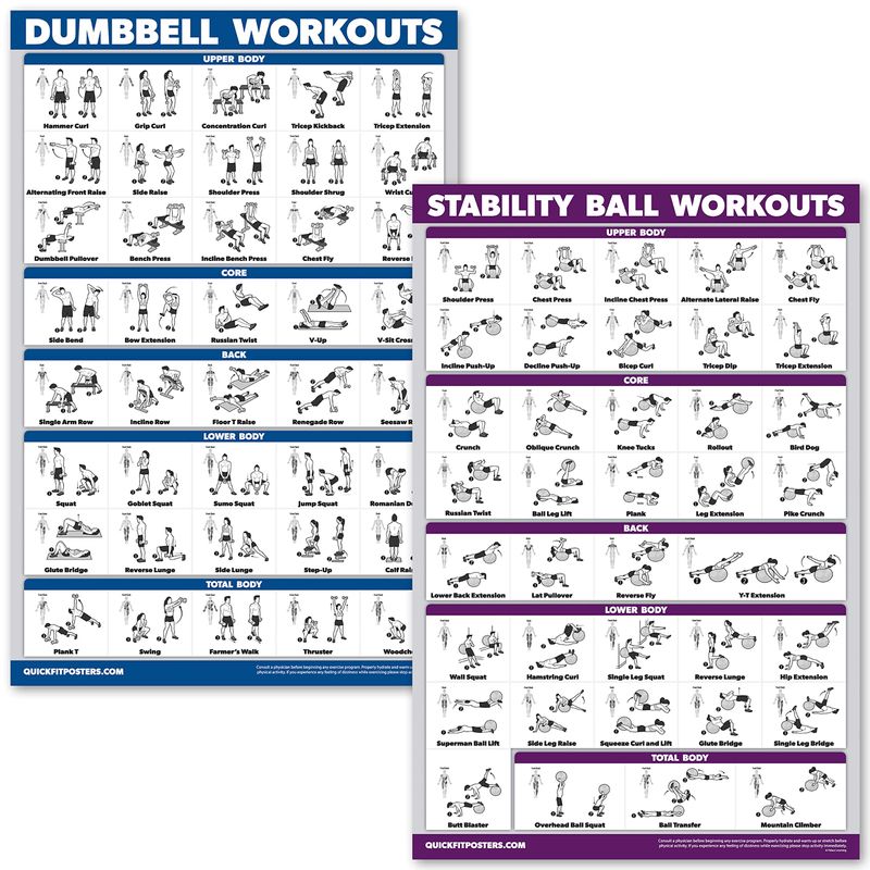 Palace Learning Dumbbell Workouts and Exercise Ball Poster Set ...