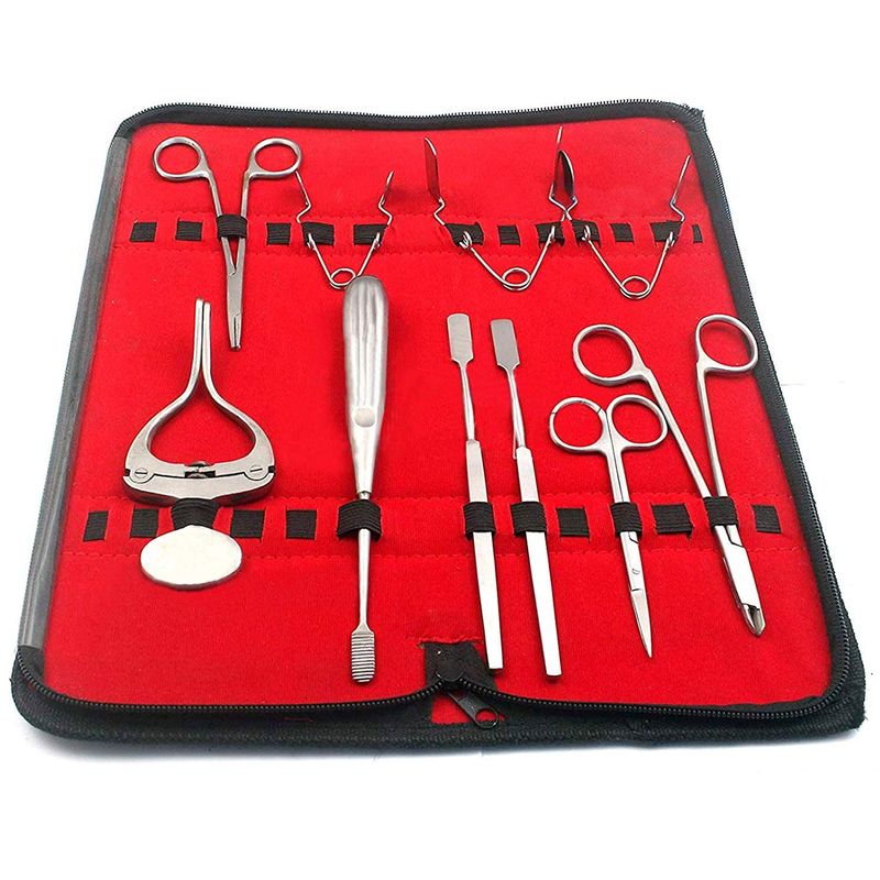 AAProTools Rodent Small Animal Cheek Teeth Molar Incisor Dentistry ...