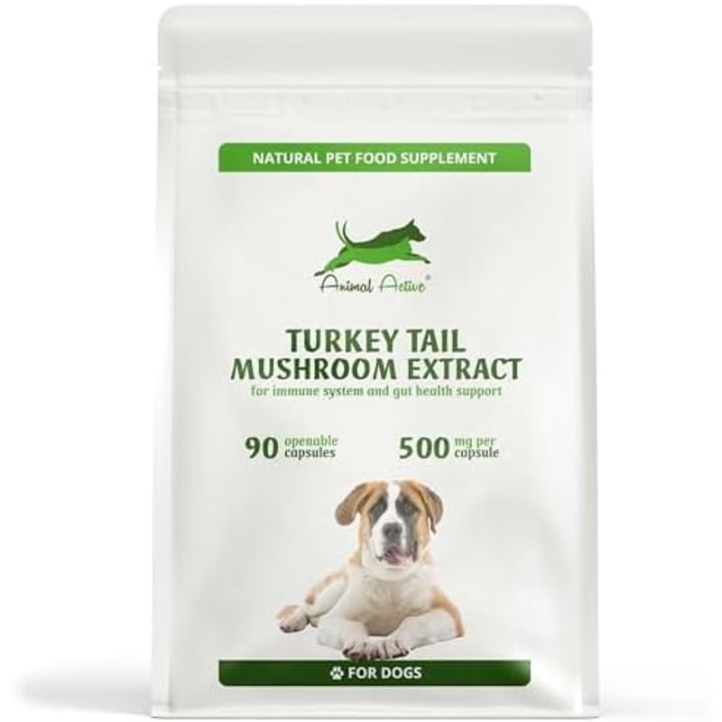 Turkey Tail Mushroom for Dogs 90 Capsules with 500mg PSK/PSP Beta ...