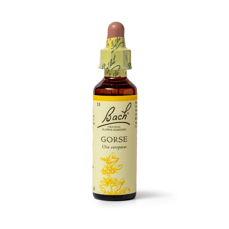 Bach Original Flower Remedies (Gorse) Know Your Own Mind, Remain Hopeful, Emotional Wellness ...