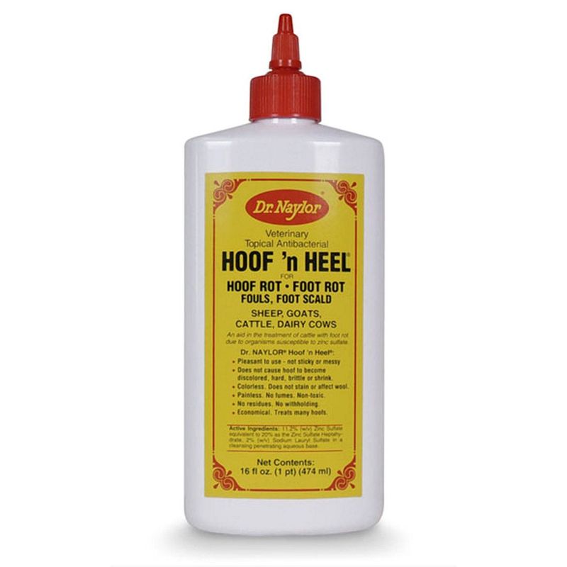 Dr. Naylor Hoof n' Heel (16 oz.) - Traditional Foot Rot Treatment ...