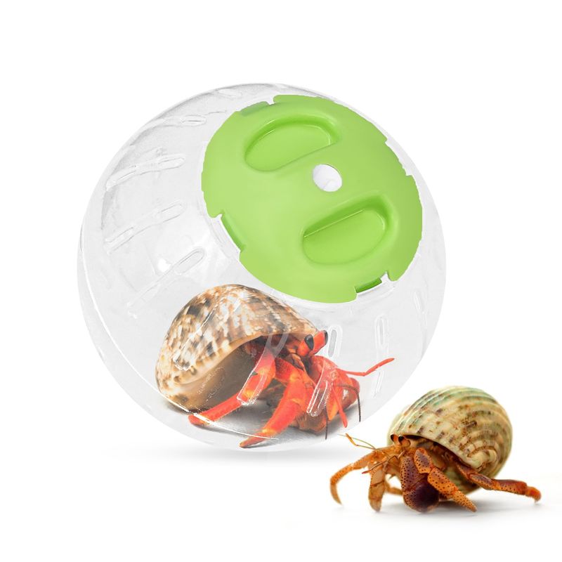 U0U Hermit Crab Running Ball Toy,Small Hermit Crab Accessories,Hermit ...