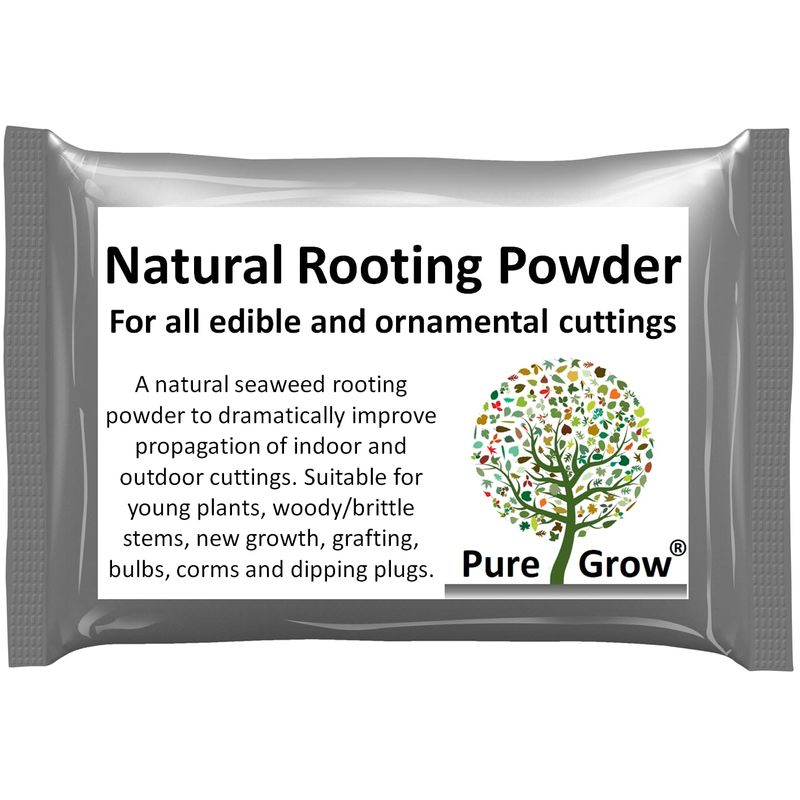 Rooting Powder Hormone for Plant Cuttings & Hydroponics 60g - Natural ...