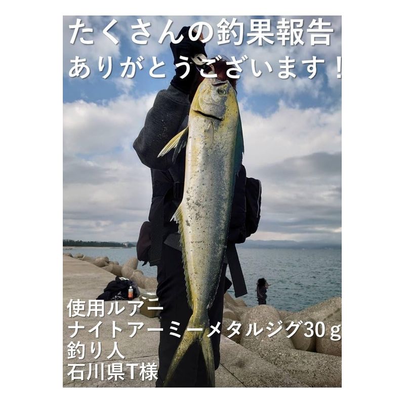 Night Army Fishing Tackle Lures with Metal Jigs, 5 Colors, Lure Set, 0. ...