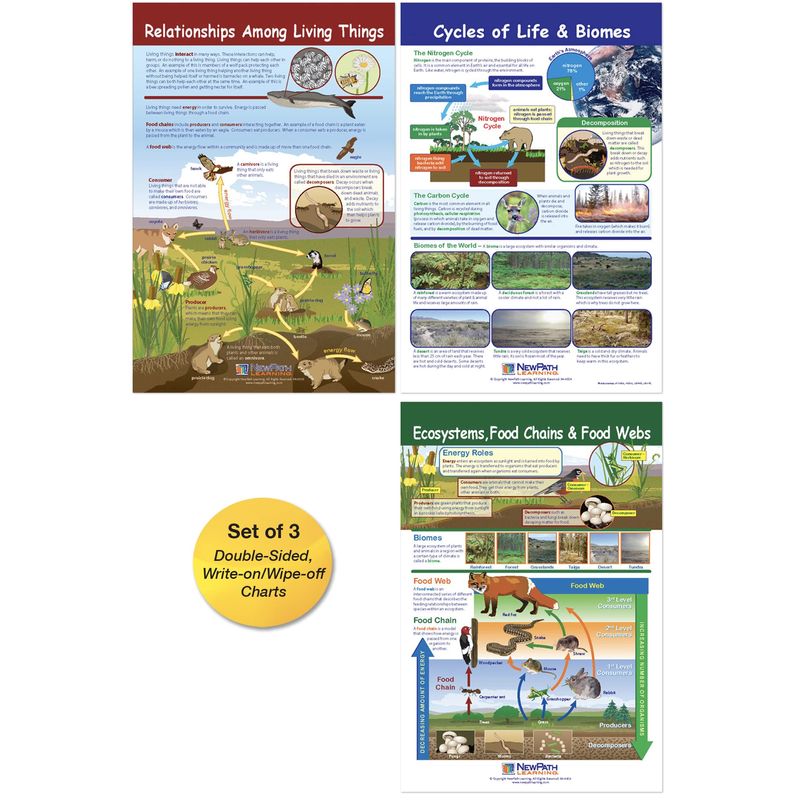 NewPath Learning Ecology Bulletin Board Charts, Set/3 - Laminated, Double-Sided, Full-Color, 12 ...