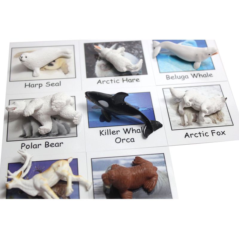 Montessori Arctic Polar Animal Match - Miniature Arctic Animal Toy ...