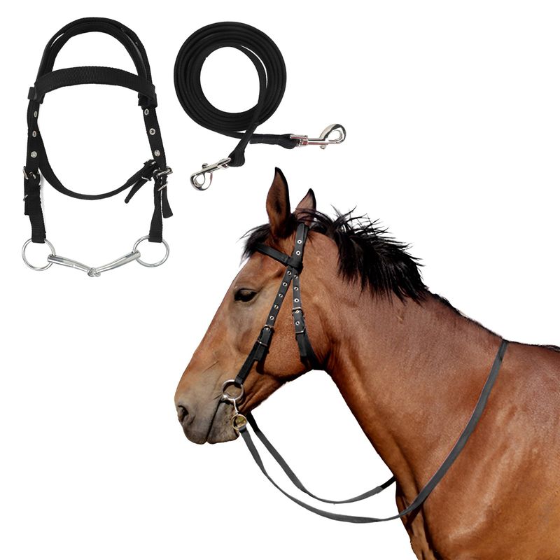 Horse Bridle with Rein Horse Headstall with Bits Horse Halter Harness ...