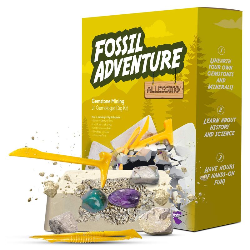 Allessimo Fossil Adventure- Gemstone Mining Dig Kit, Complete ...