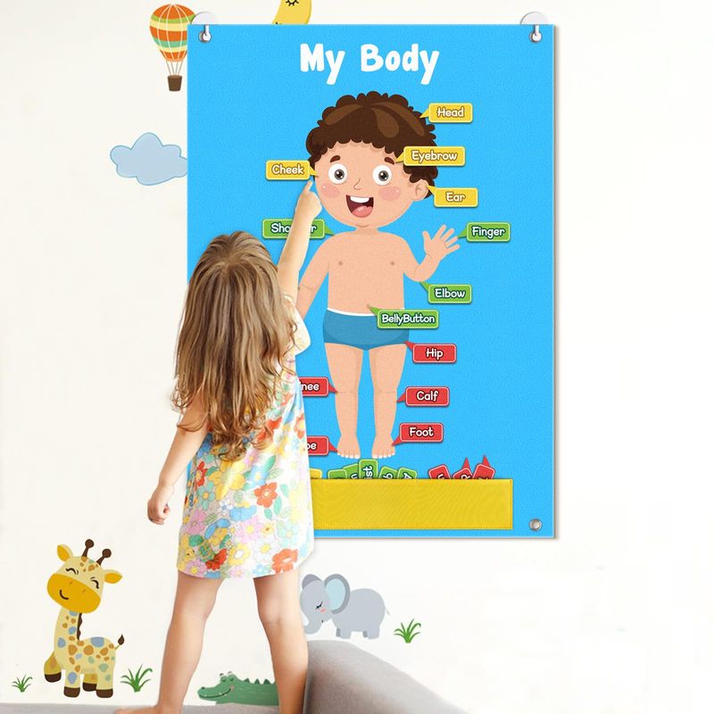 AKAYOK 36 Pcs Body Parts for Kids Felt Board for Toddlers Preschool ...