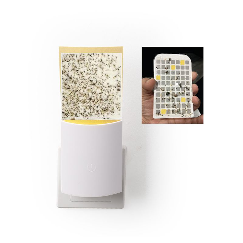Indoor Mosquito Flying Insects Bugs killer trap with 5 sticky Pads ...
