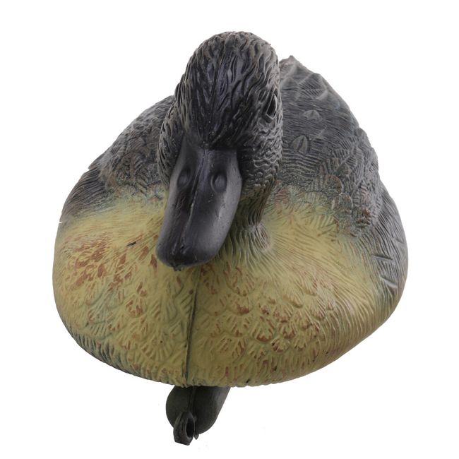 Full Body Wigeon Decoys