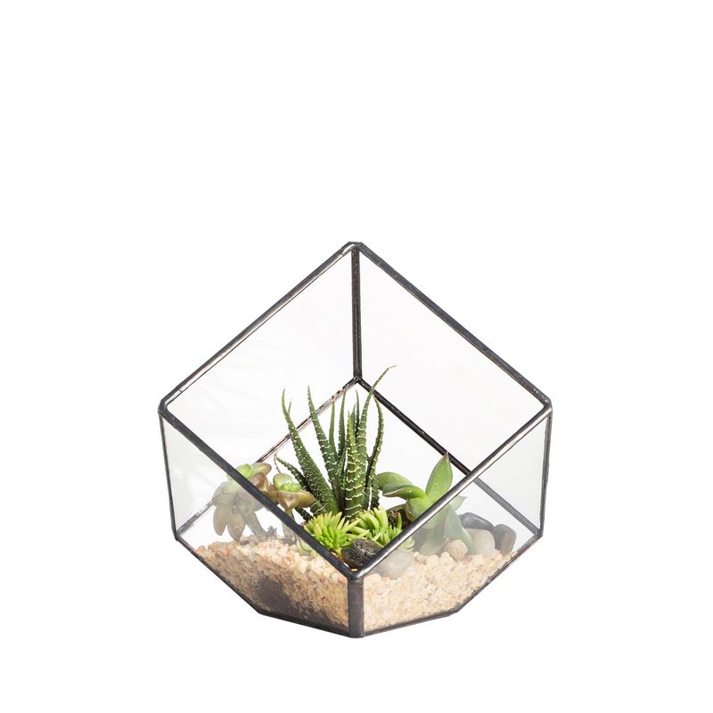 NCYP 10 cm Small Glass Geometric Terrarium, Cube Clear Plant Terrarium ...