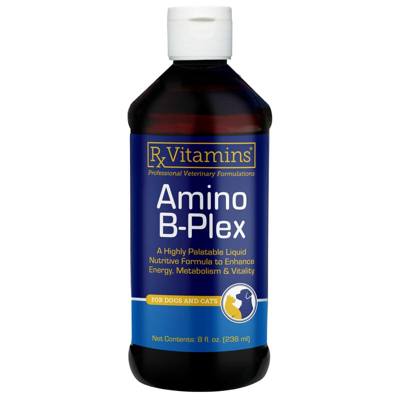 Rx Vitamins Amino B-Plex Cat & Dog Supplement - Vitamin B Complex ...