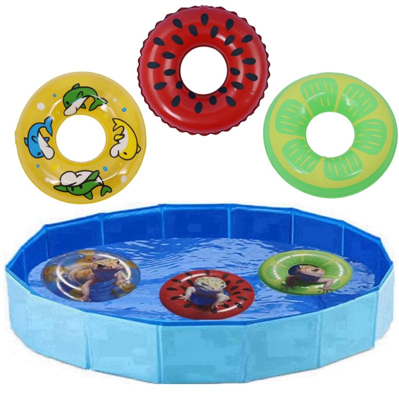 Bearded Dragon Swimming Pool with Inflatable Float Set - Foldable ...