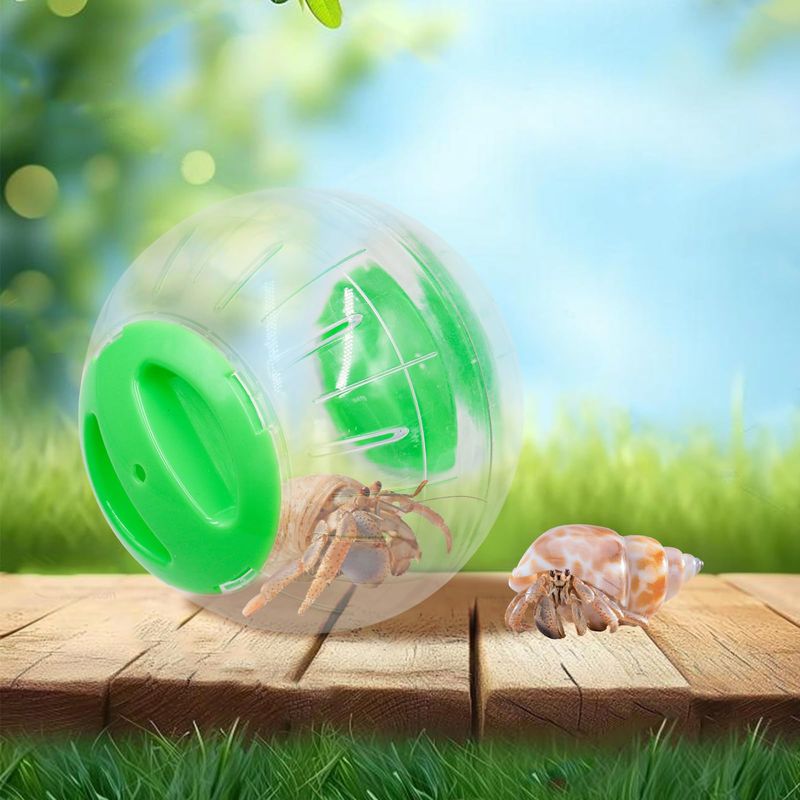MinrzPet Hermit Crab Toys, Plastic Running Ball for Hermit Crab, Hermit ...