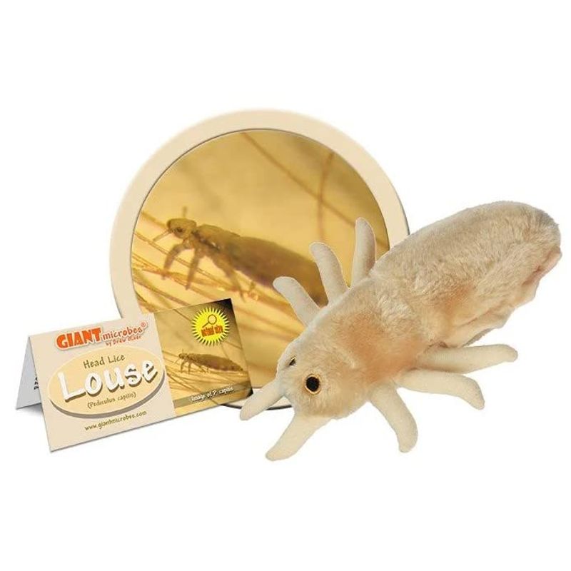 Giant Microbes Louse Plush – Learn About Lice and How to Treat Them ...