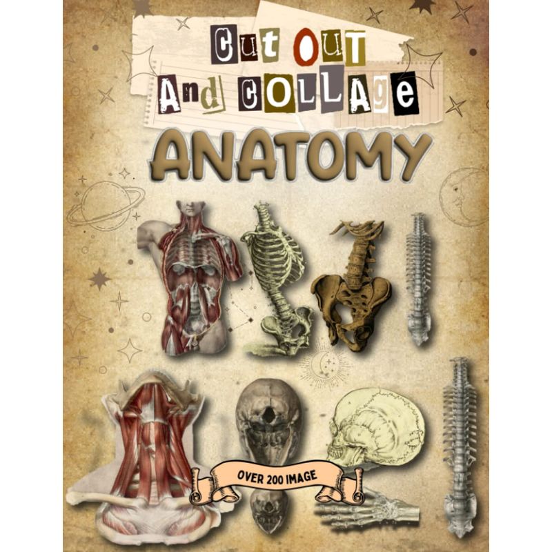 Anatomy Cut Out And Collage: Vintage Anatomy Junk Journal, Scrapbook ...